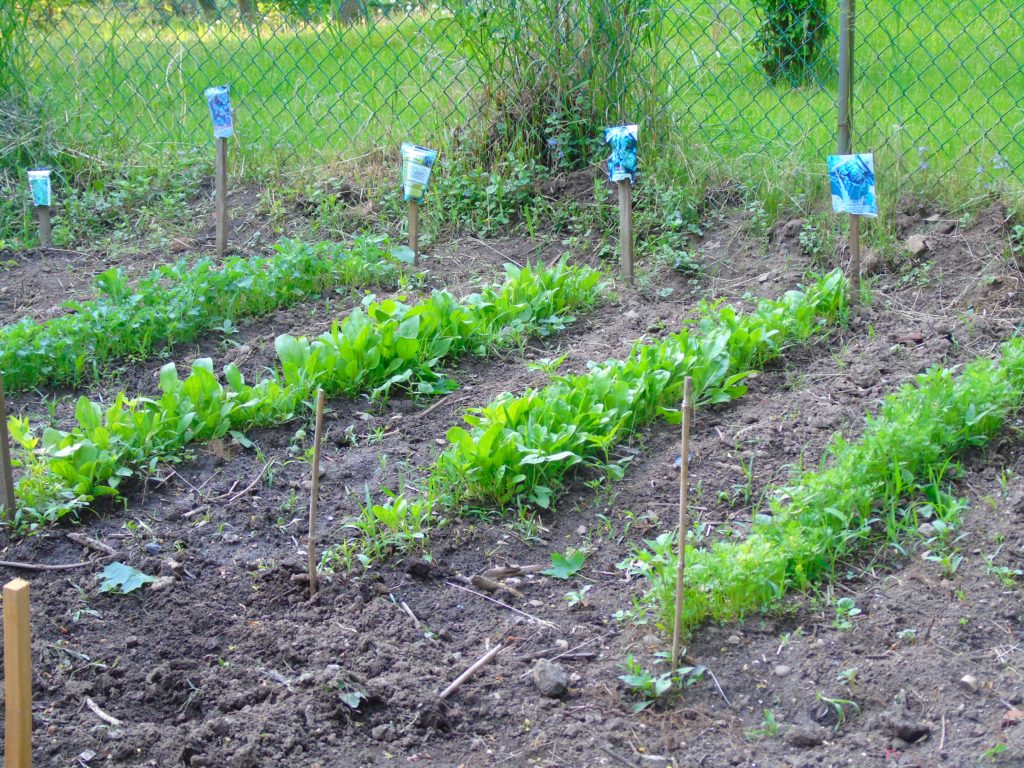 God At Eventide – August 19 – Two Listeners