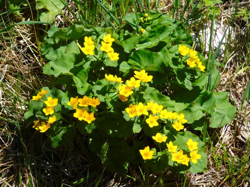 God Calling – June 15 – Two Listeners